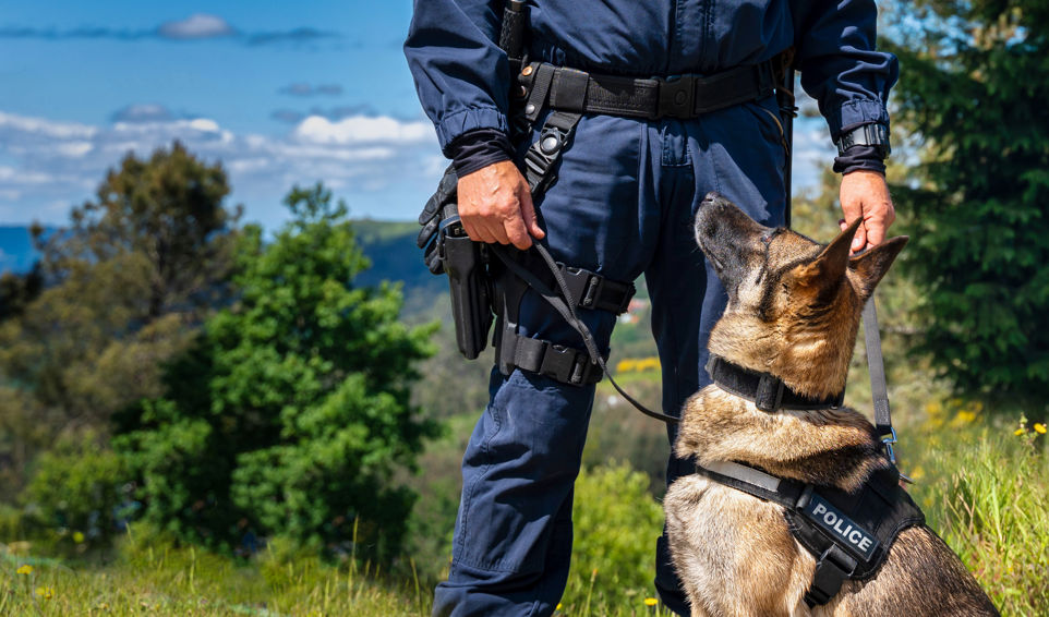 How Pelham Police Use the Flir Scout Pro for Night Patrol and Suspect ...