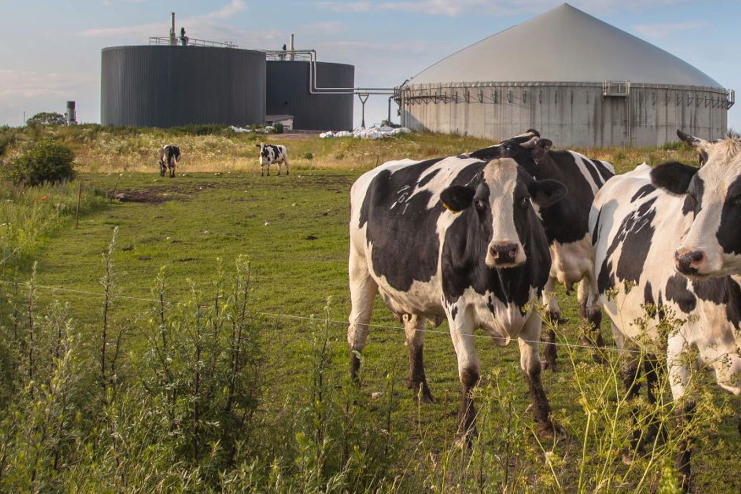 Beyond PPE: Building a Safety Culture with Training, Tools, and Tech | Flir